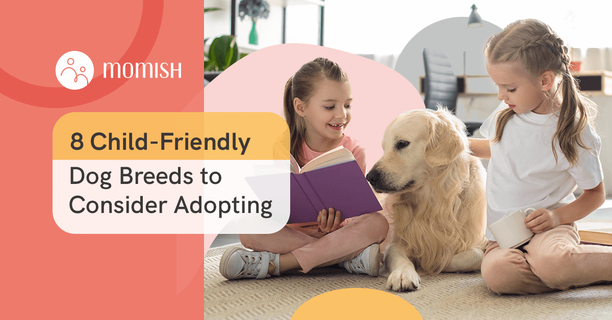 8 Child-Friendly Dog Breeds to Consider Adopting - Momish
